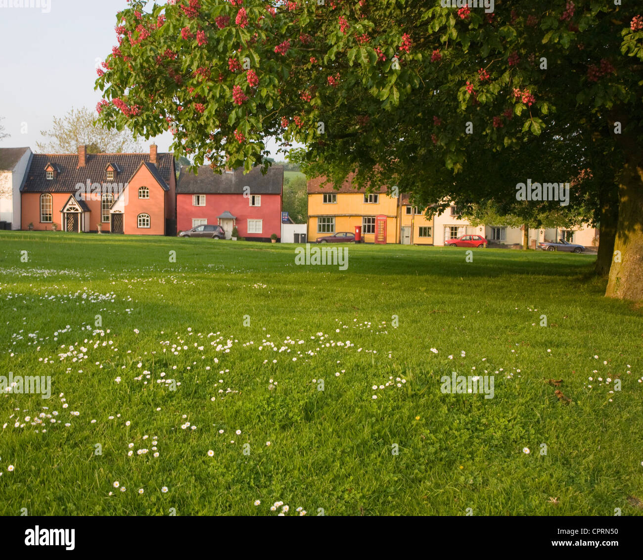 Hartest suffolk hi-res stock photography and images - Alamy
