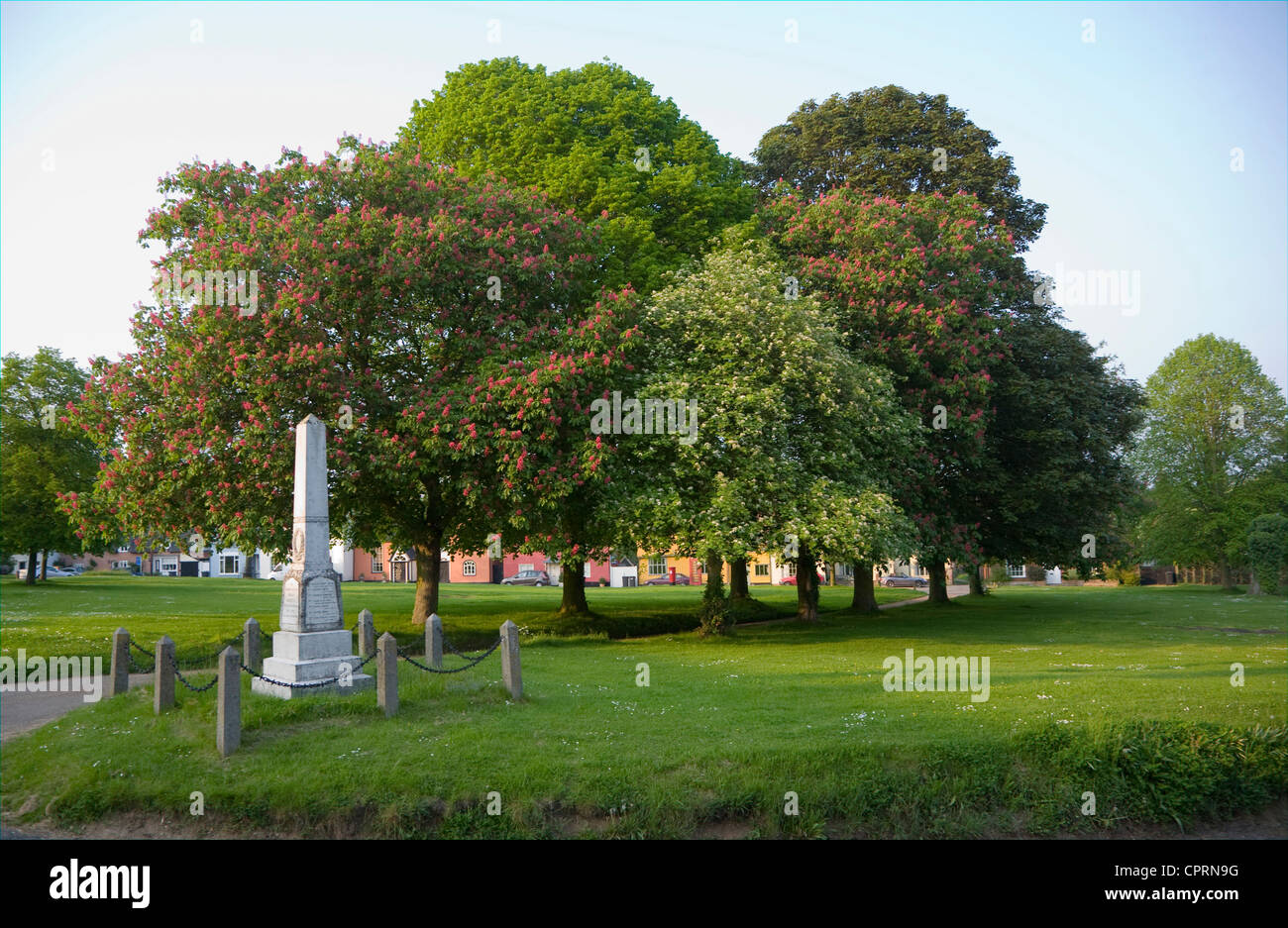 Attractive village houses on the green at late evening, Hartest ...