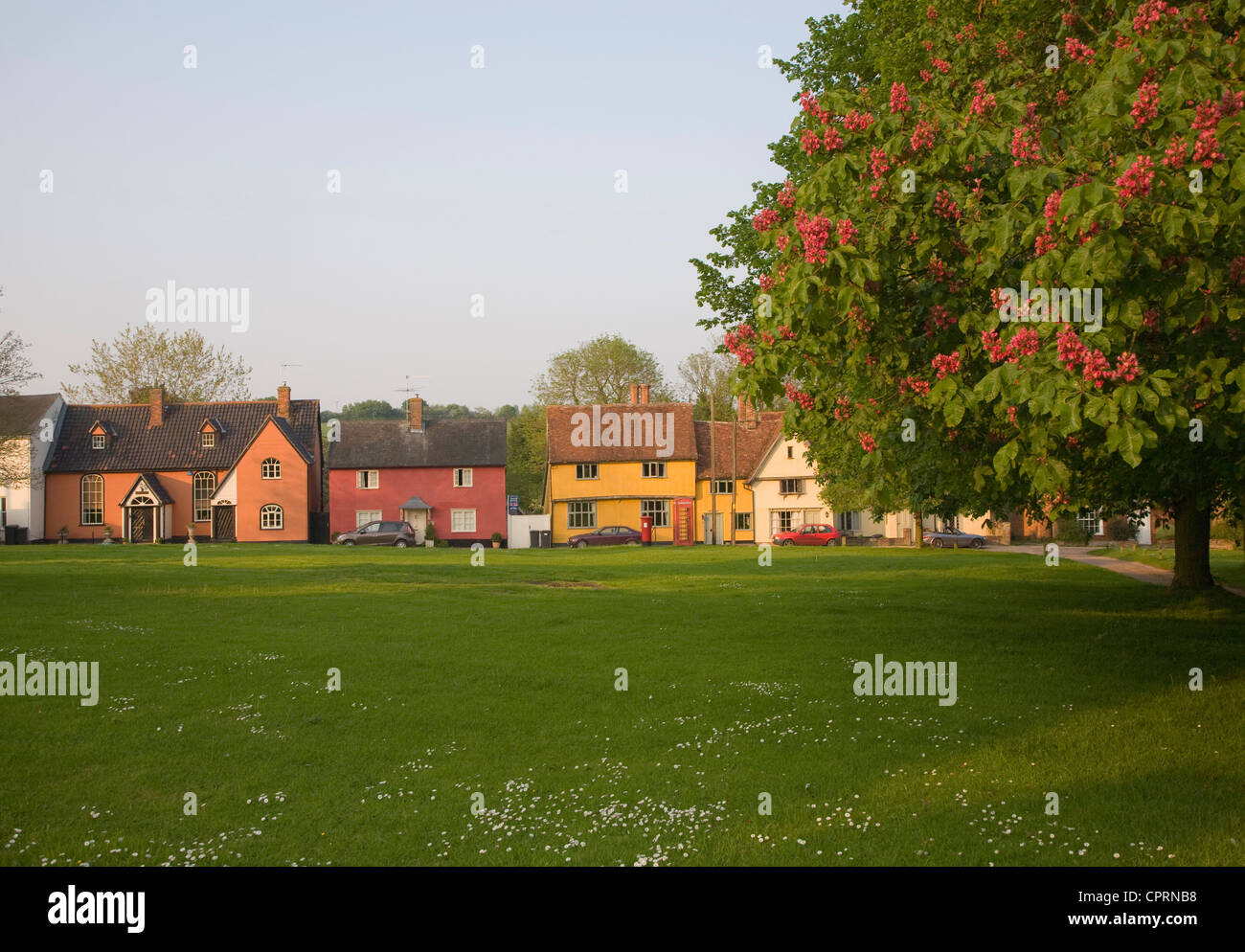 Attractive village houses on the green at late evening, Hartest ...