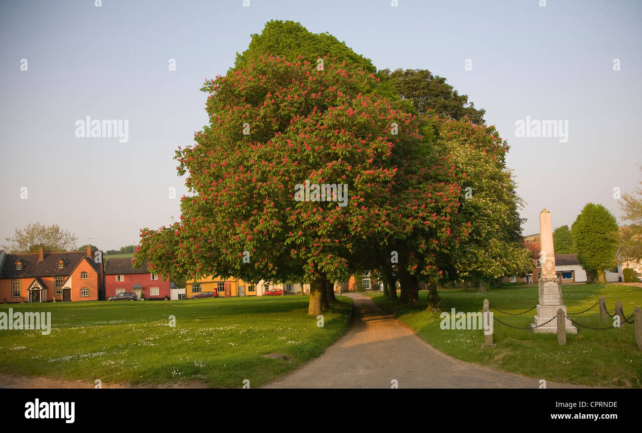 Attractive village houses on the green at late evening, Hartest ...