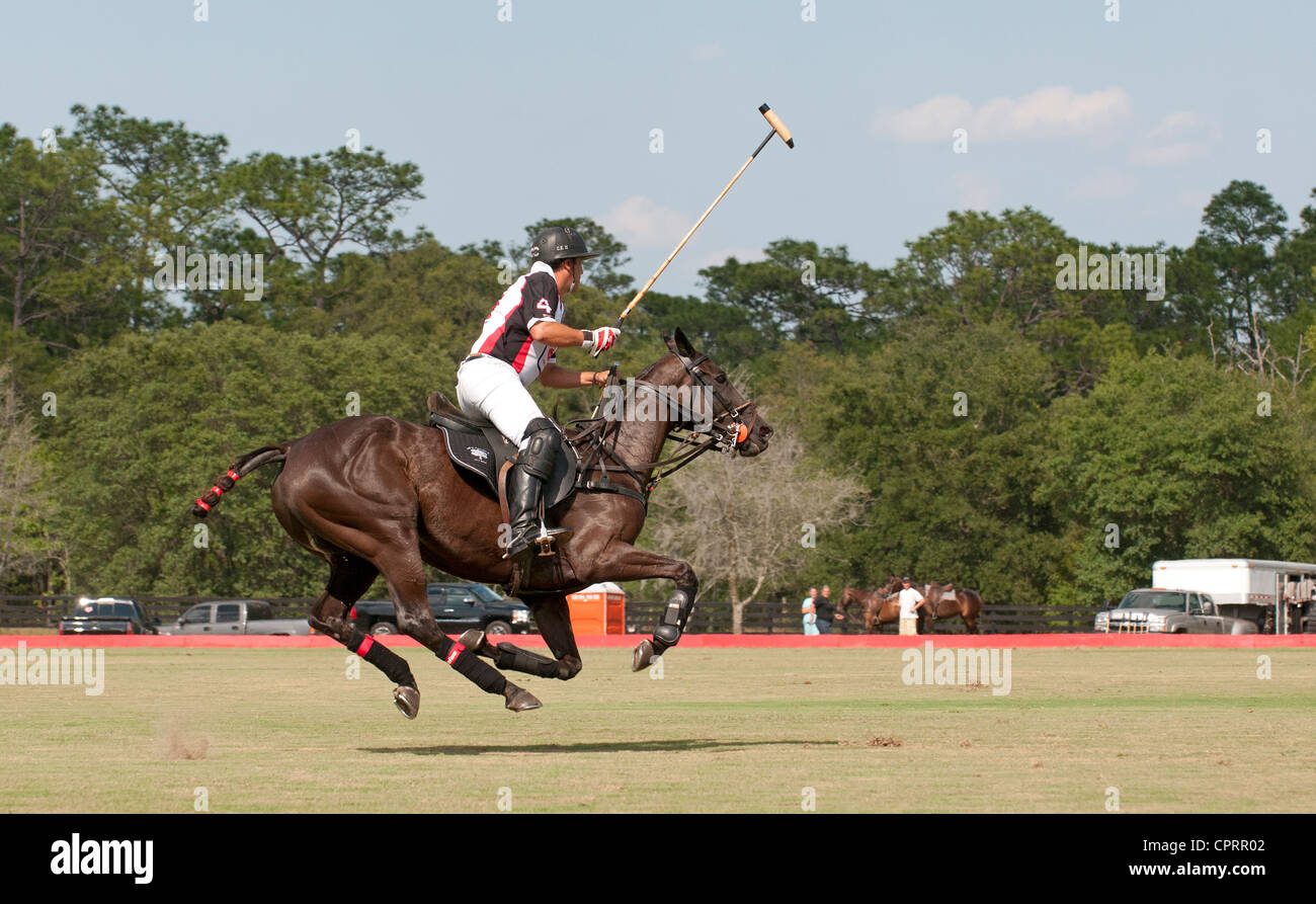 In the saddle here is Jose Cuko Escapite in State Farm colours Polo ...