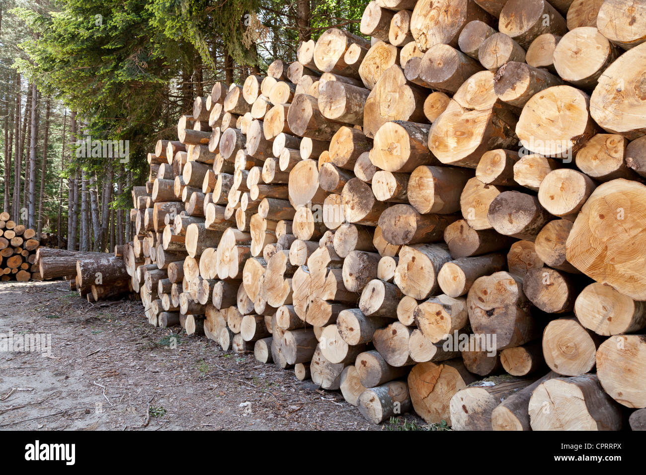 Italy timber lumber hi-res stock photography and images - Alamy