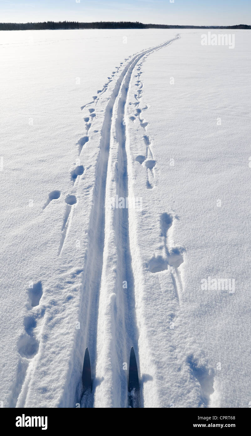 Surface lake ski trace hi-res stock photography and images - Alamy