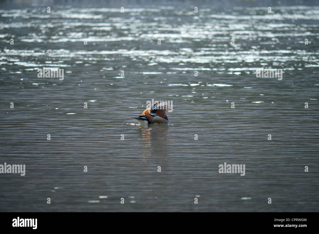 Male River High Resolution Stock Photography and Images - Alamy