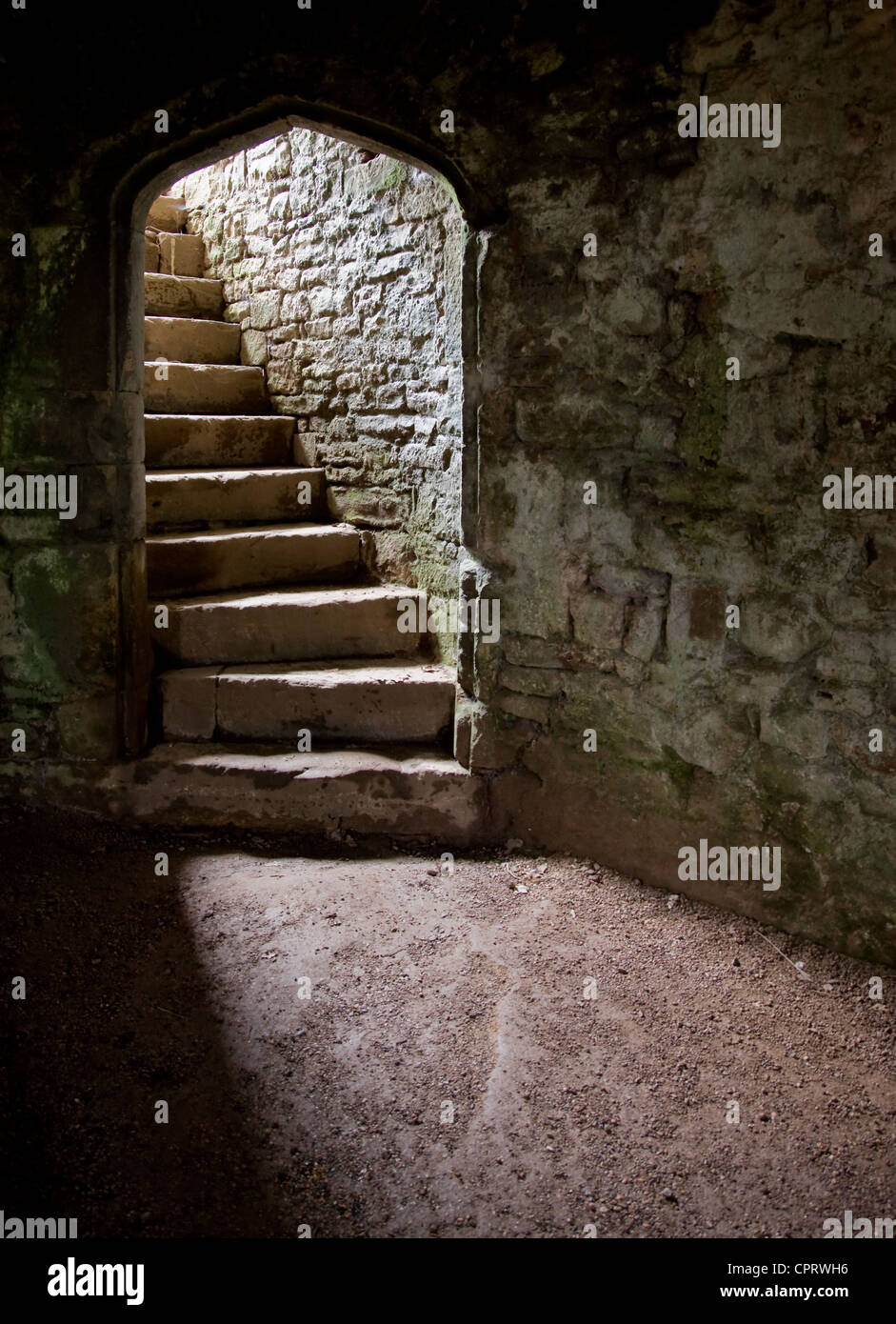 Stone staircase at Raglan Castle Monmouthshire Stock Photo - Alamy