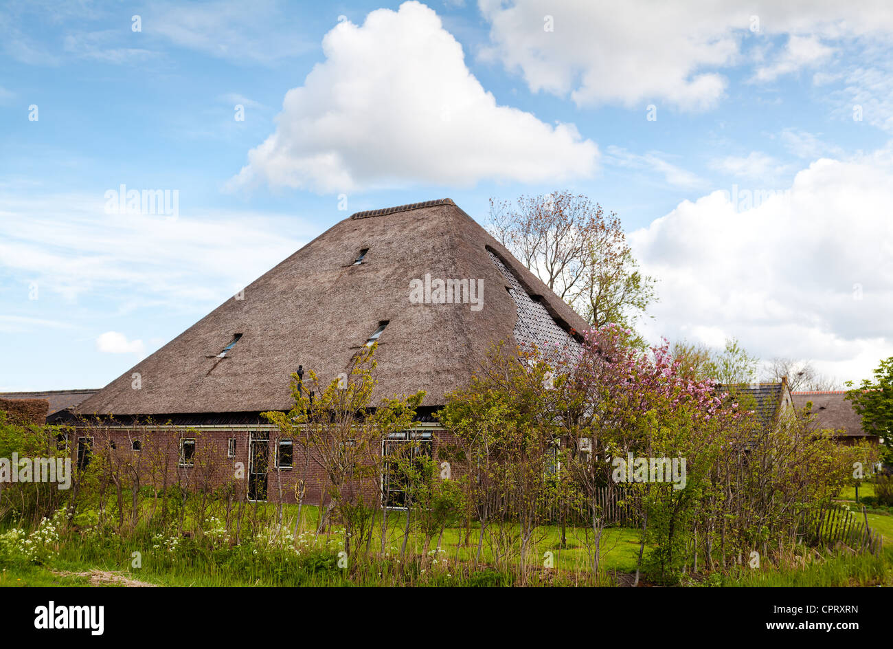 Typical old dutch farmhouse hi-res stock photography and images - Alamy