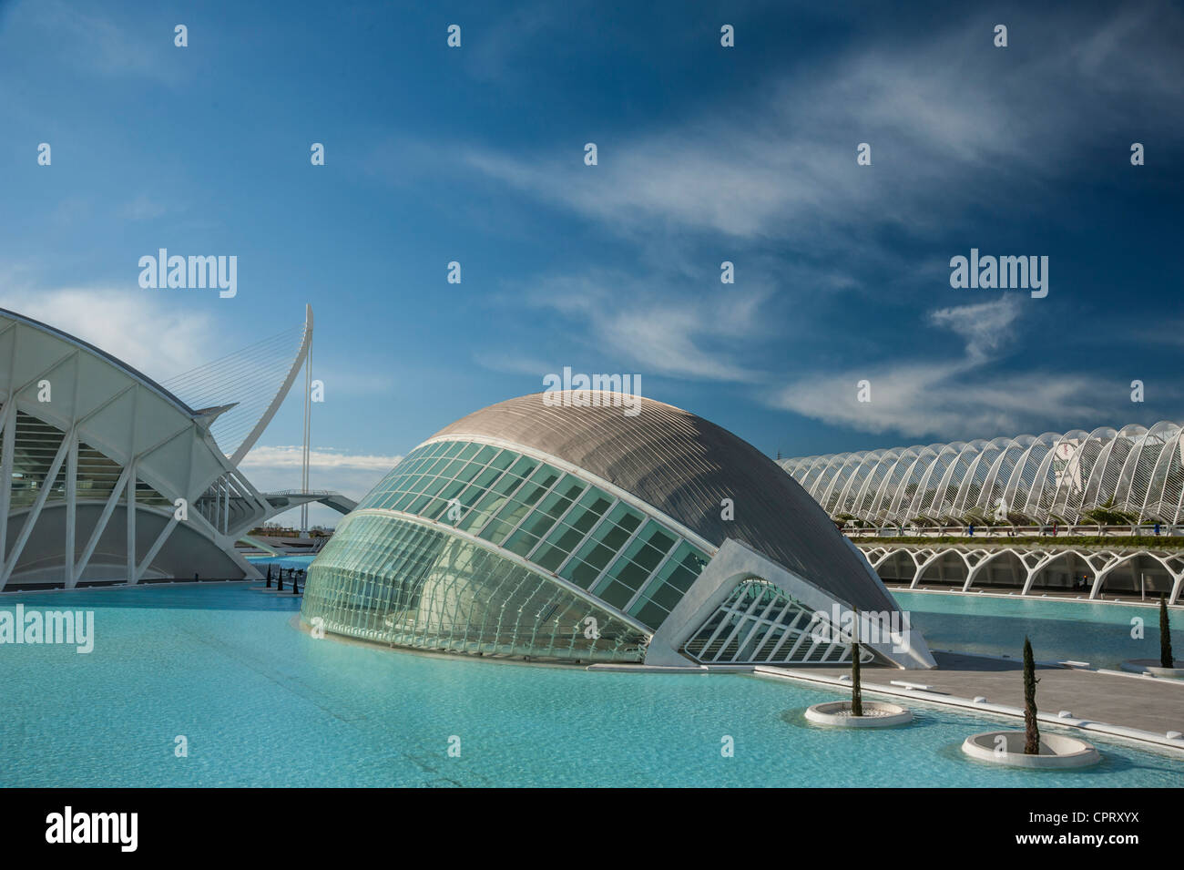 City of Arts and Sciences designed by Santiago Calatrava Valencia ...
