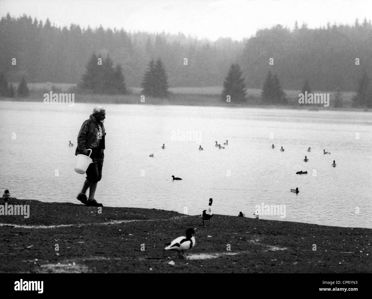 Konrad lorenz goose hi-res stock photography and images - Alamy