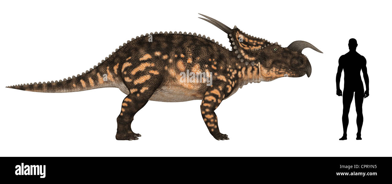 Dinosaur illustration size hi-res stock photography and images - Alamy