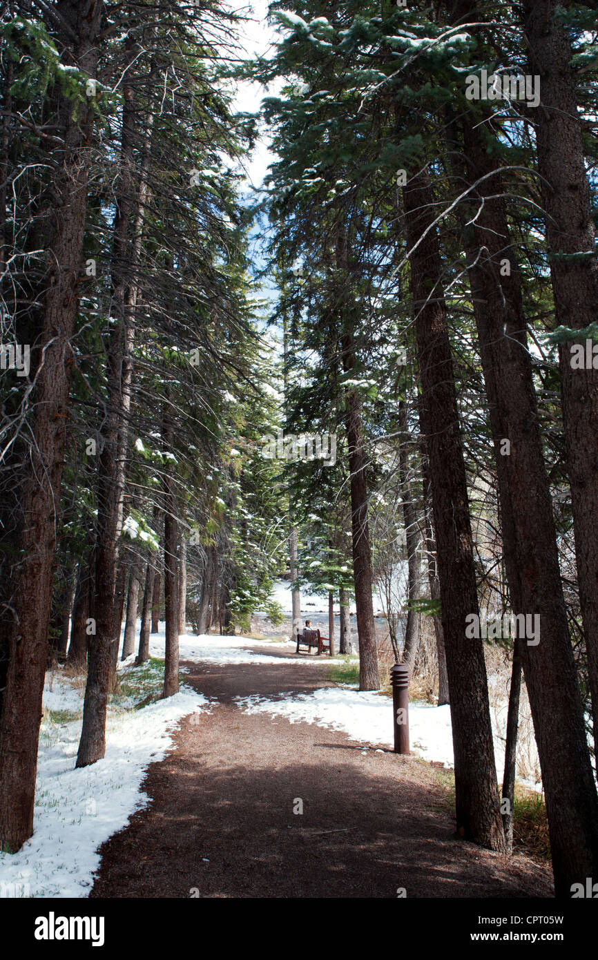 Forest Path in Vail Village - Vail, Colorado USA Stock Photo - Alamy