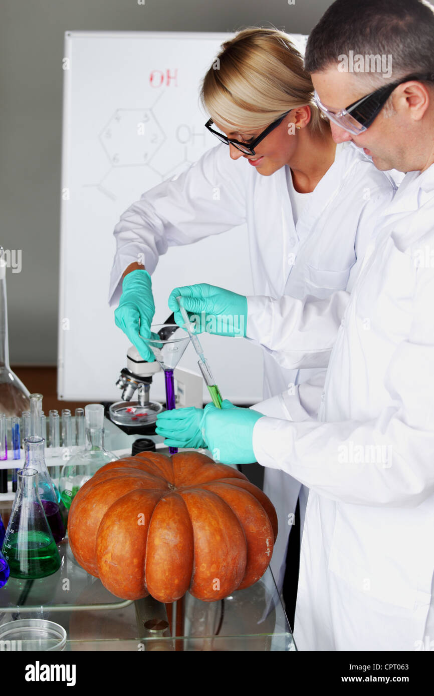 Scientist conducting genetic experiment with pumpkin Stock Photo - Alamy