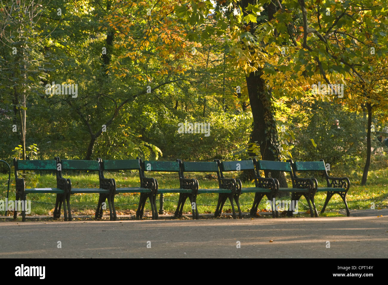 Row of specific benches in an autumn park.Location:Cismigiu Garden ...