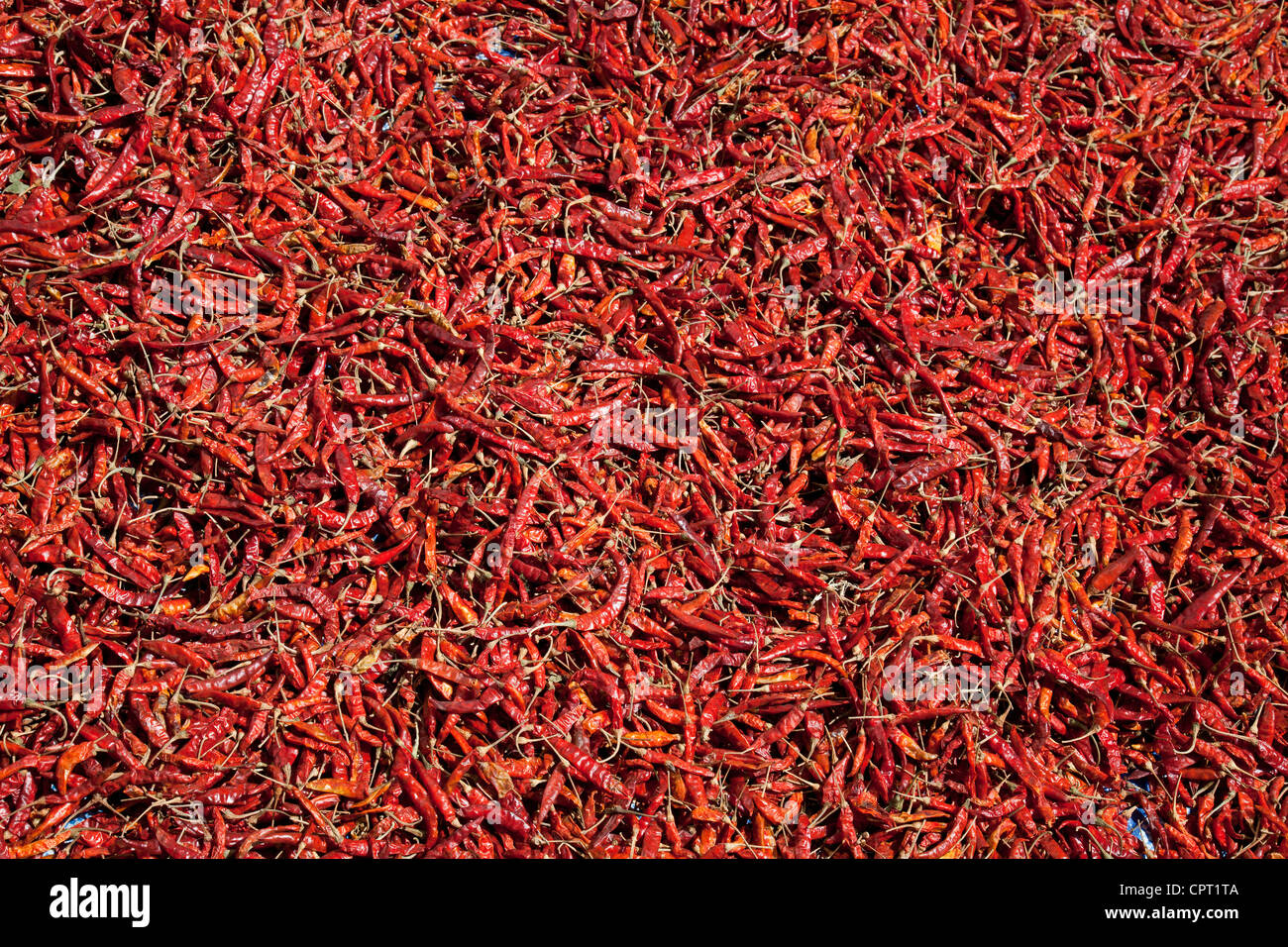 Stack of red chilli peppers Stock Photo - Alamy