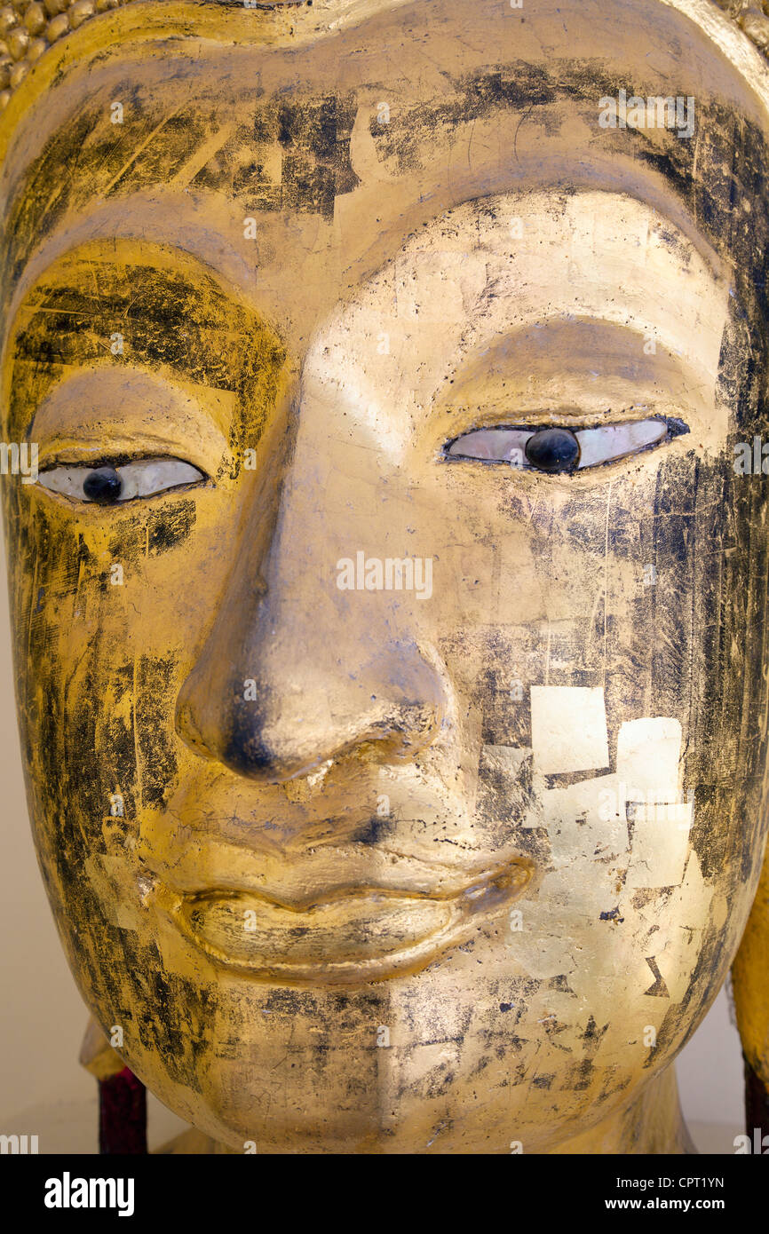 Ram face hi-res stock photography and images - Alamy