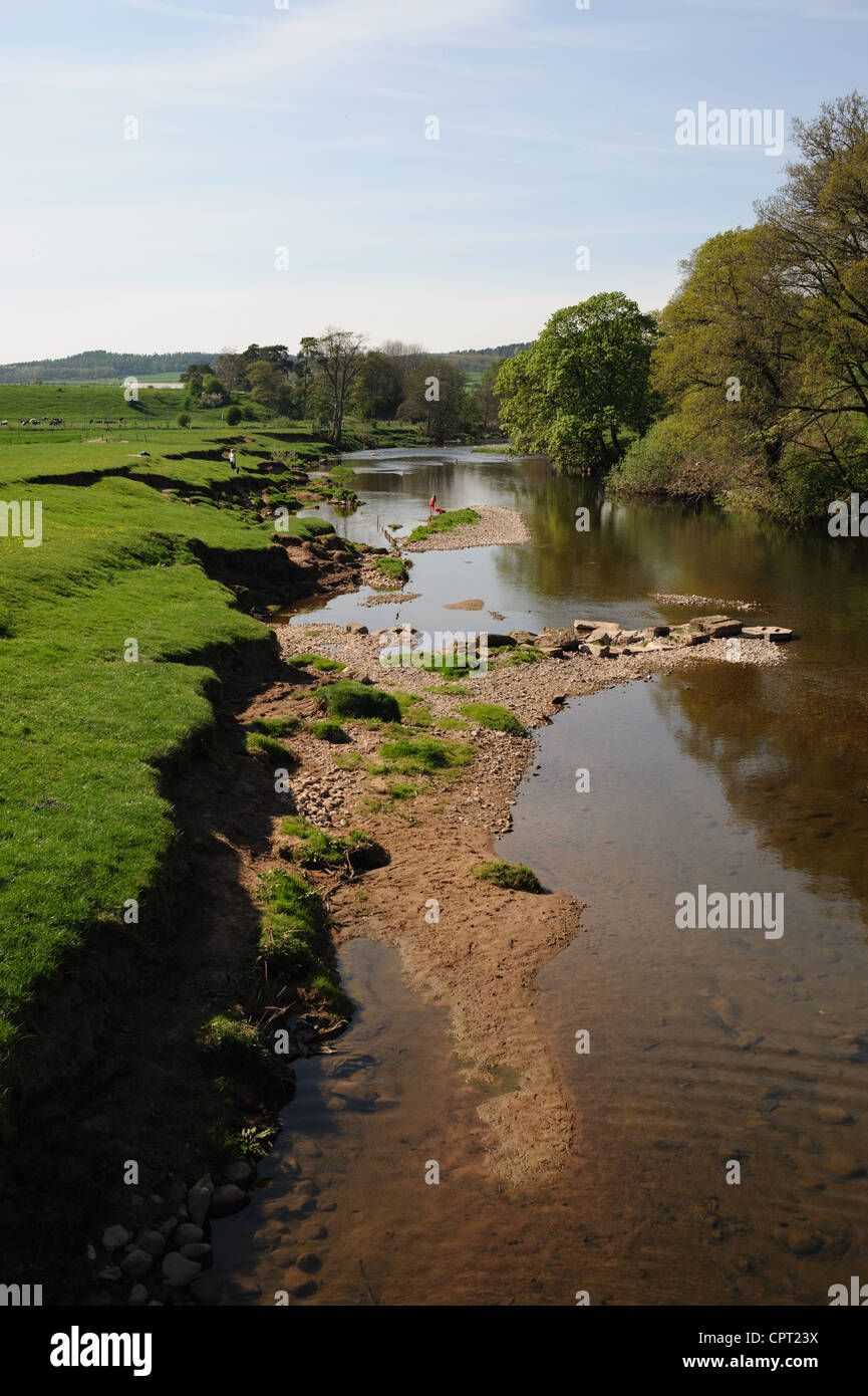 River Eden High Resolution Stock Photography and Images - Alamy