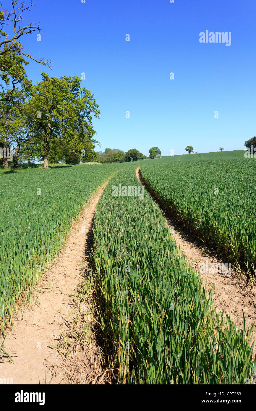 Across open farmland hi-res stock photography and images - Alamy