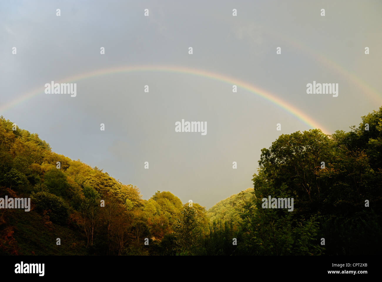 Over woodland hi-res stock photography and images - Alamy