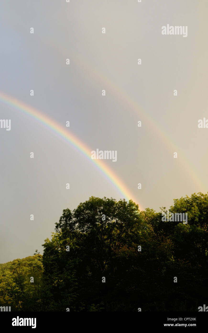 Over woodland hi-res stock photography and images - Alamy