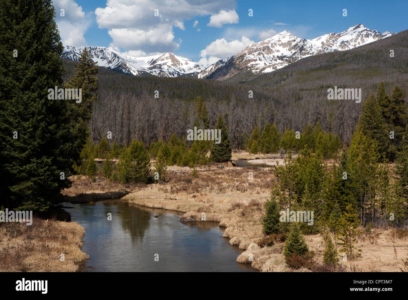 Stream in Rocky Mountain National Park - Grand Lake, Colorado USA Stock ...