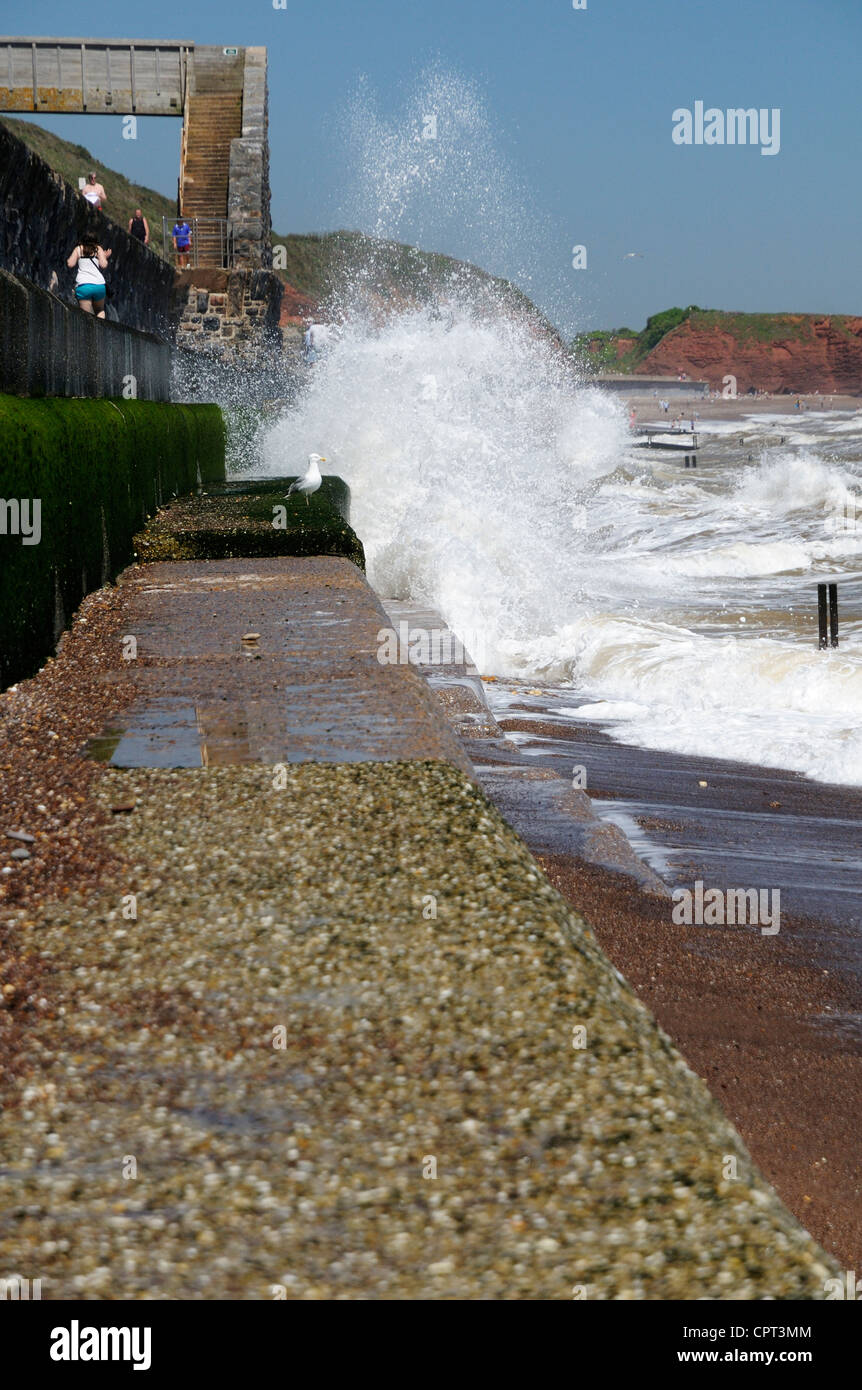 Dawlish sea wall hi-res stock photography and images - Alamy