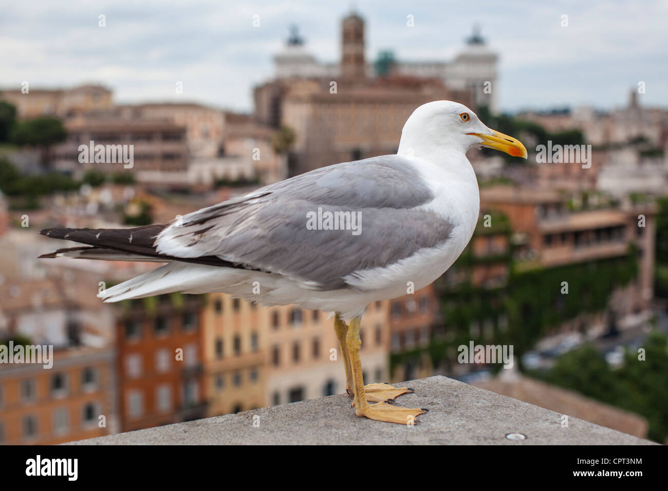 Rome italy bird view hi-res stock photography and images - Alamy