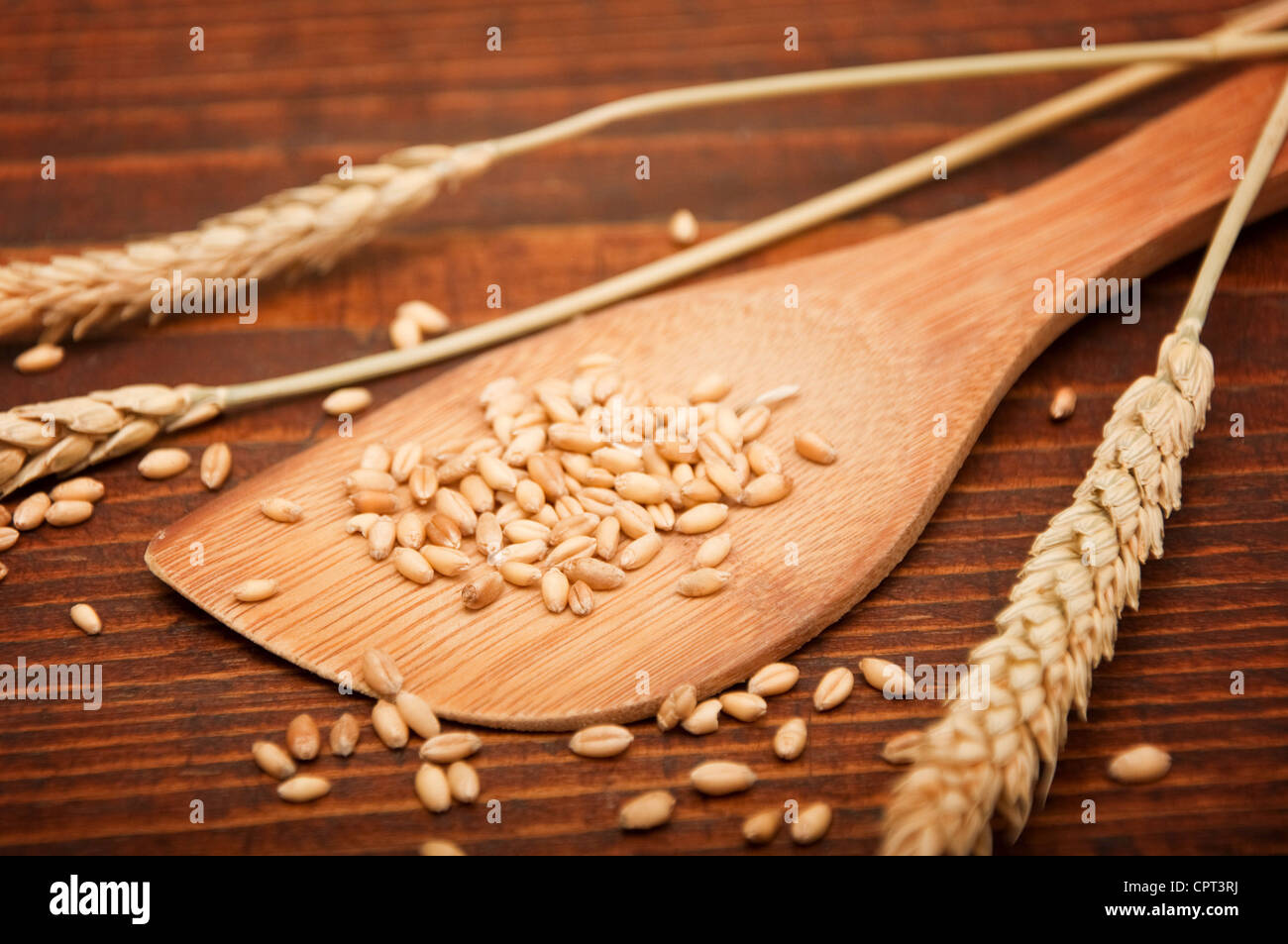 Plenty of wheat grains on an old wooden kitchen table Stock Photo - Alamy