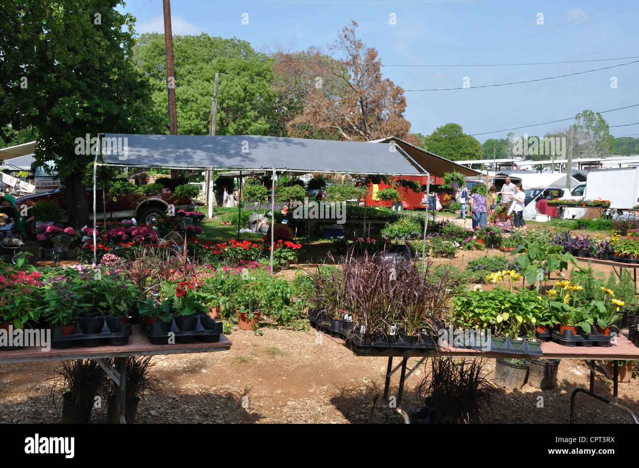 First Monday Trade Days flea market in Canton, Texas, USA - oldest and ...