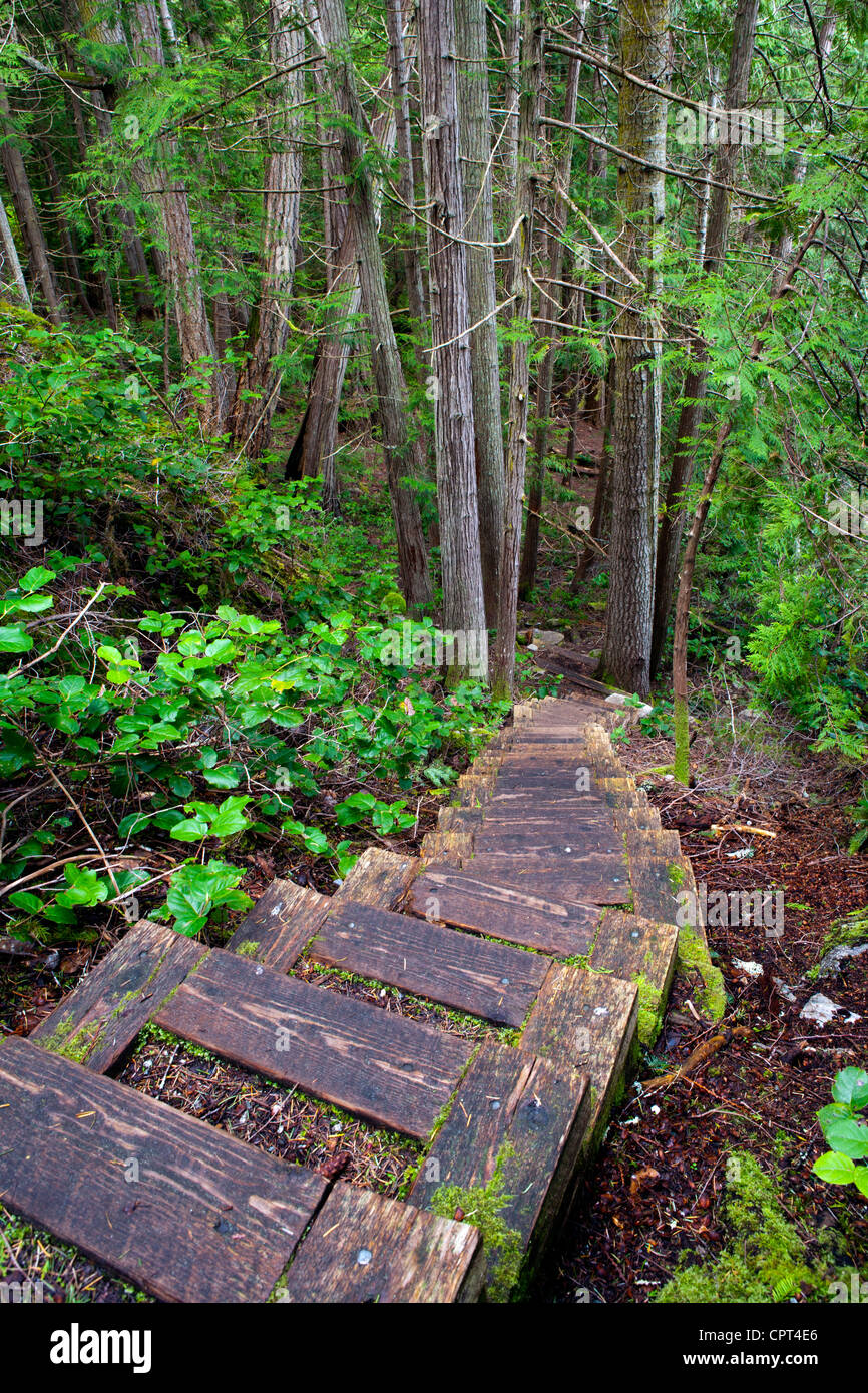 Trail in Francis Point Provincial Park - Pender Harbour - Sunshine ...