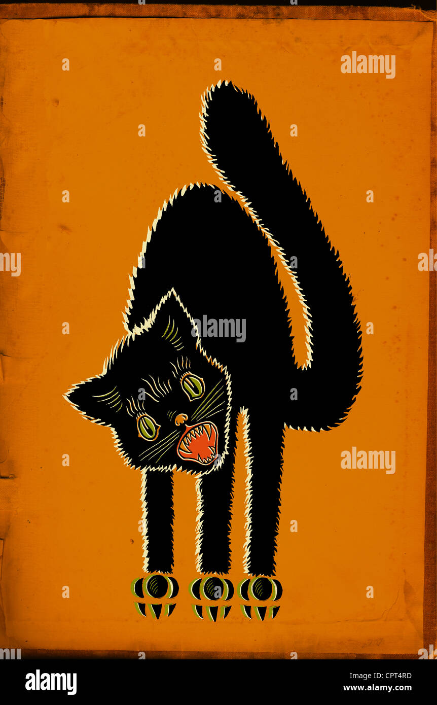 A cat with an arched back Stock Photo - Alamy