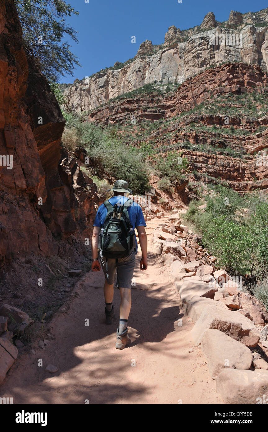 Bright Angel trail, Grand Canyon, Arizona, USA Stock Photo - Alamy