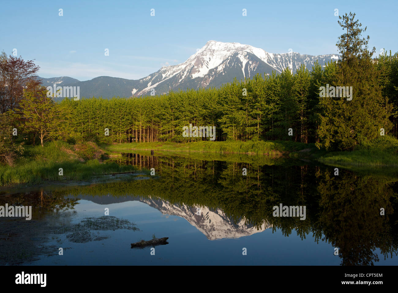 Mount Cheam Reflections - Agassiz, British Columbia, Canada Stock Photo ...