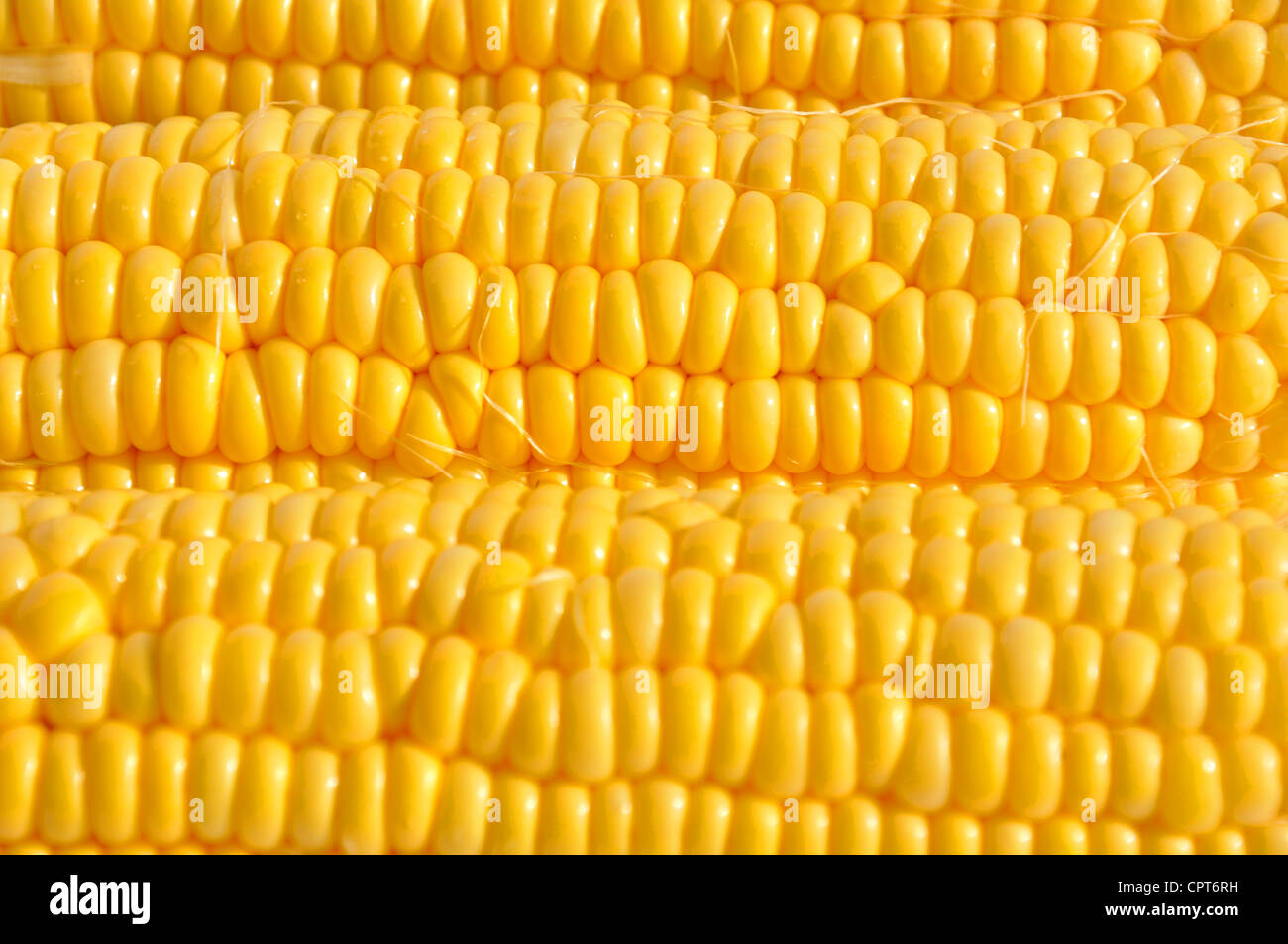 Monsanto corn seed hi-res stock photography and images - Alamy
