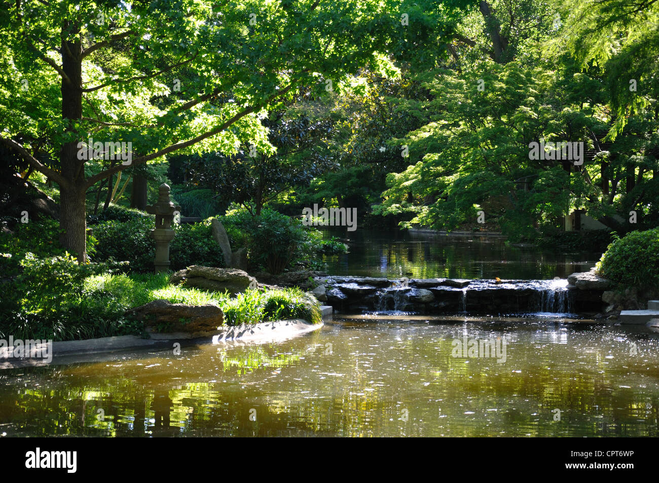 Japanese Garden, Fort Worth, Texas, USA Stock Photo - Alamy