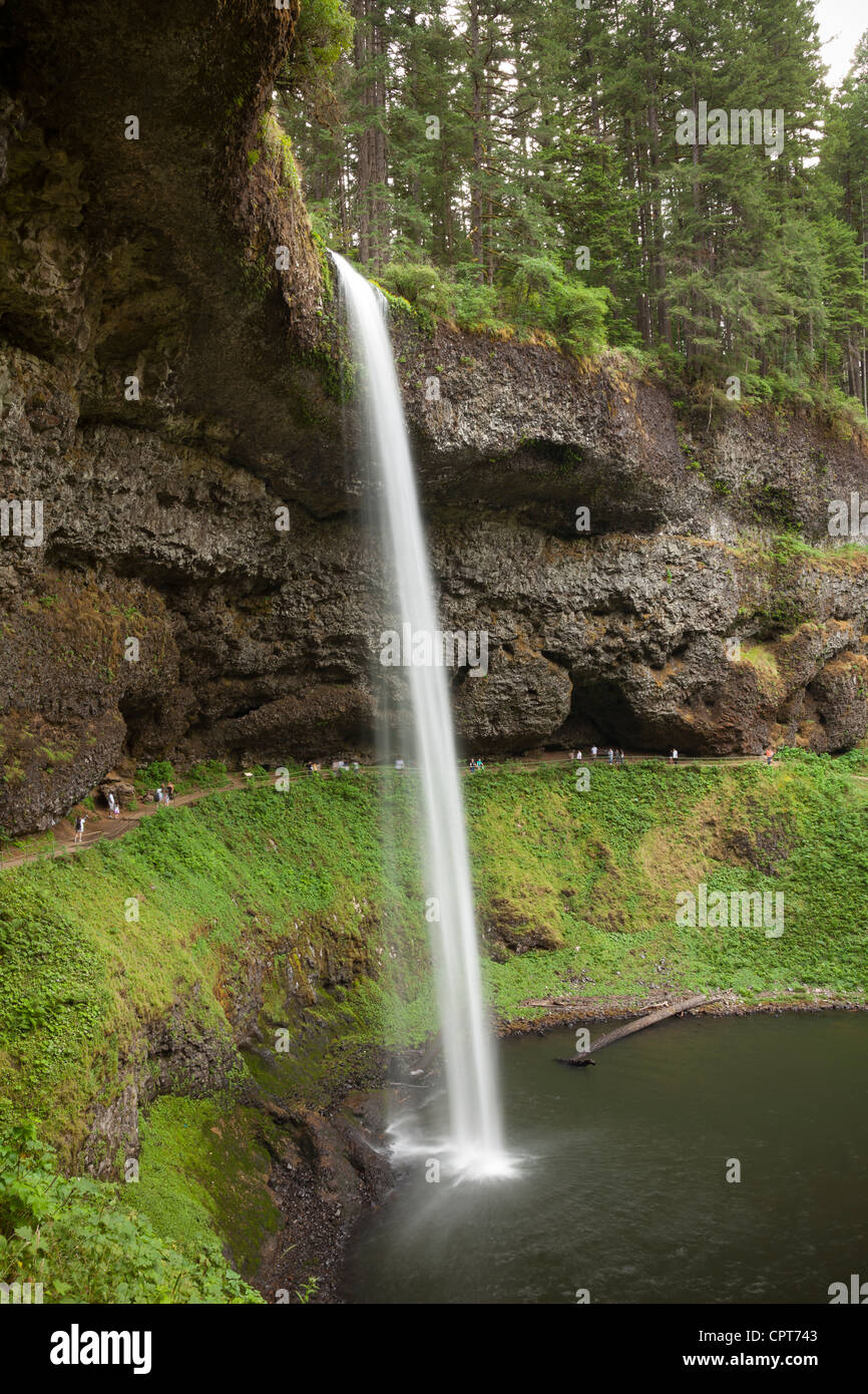 South Falls at Silver Falls State Park Stock Photo - Alamy