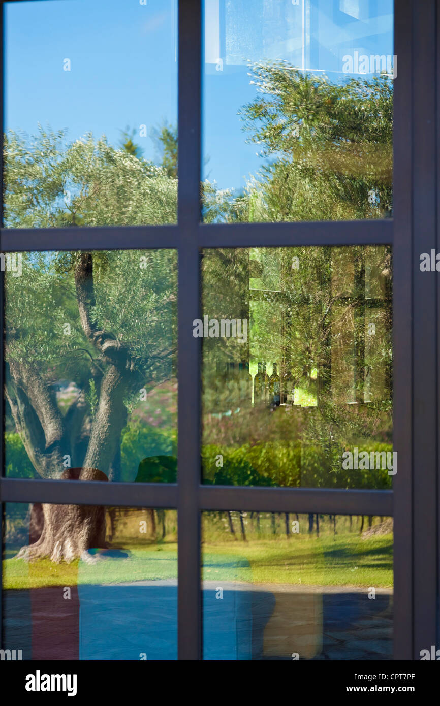 Angelo GAJA, a famous Italian wine-grower., Reflection of the nature in ...