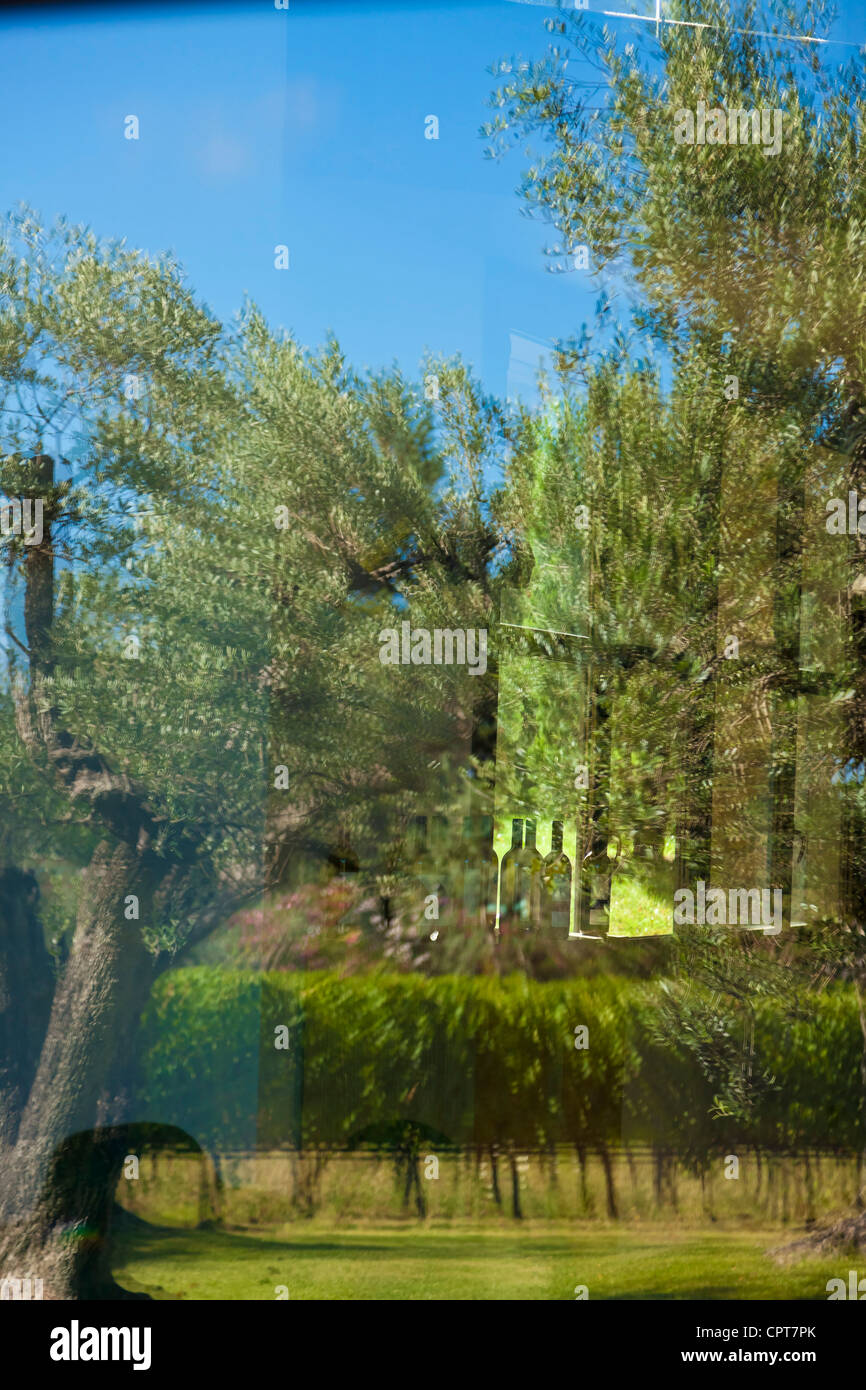 Angelo GAJA, a famous Italian wine-grower., Reflection and effects of ...