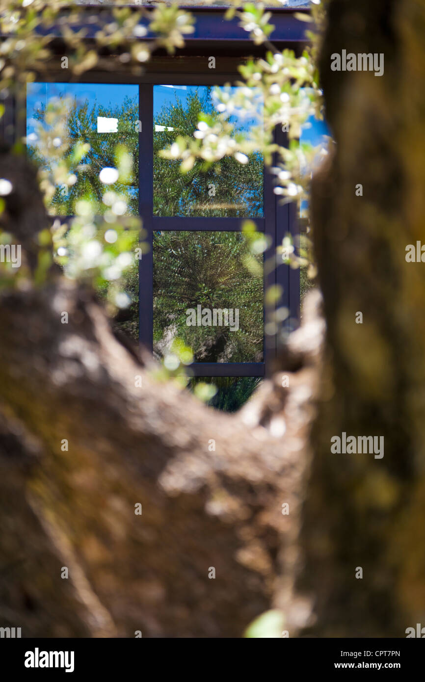 Angelo gaja famous italian wine grower hi-res stock photography and ...