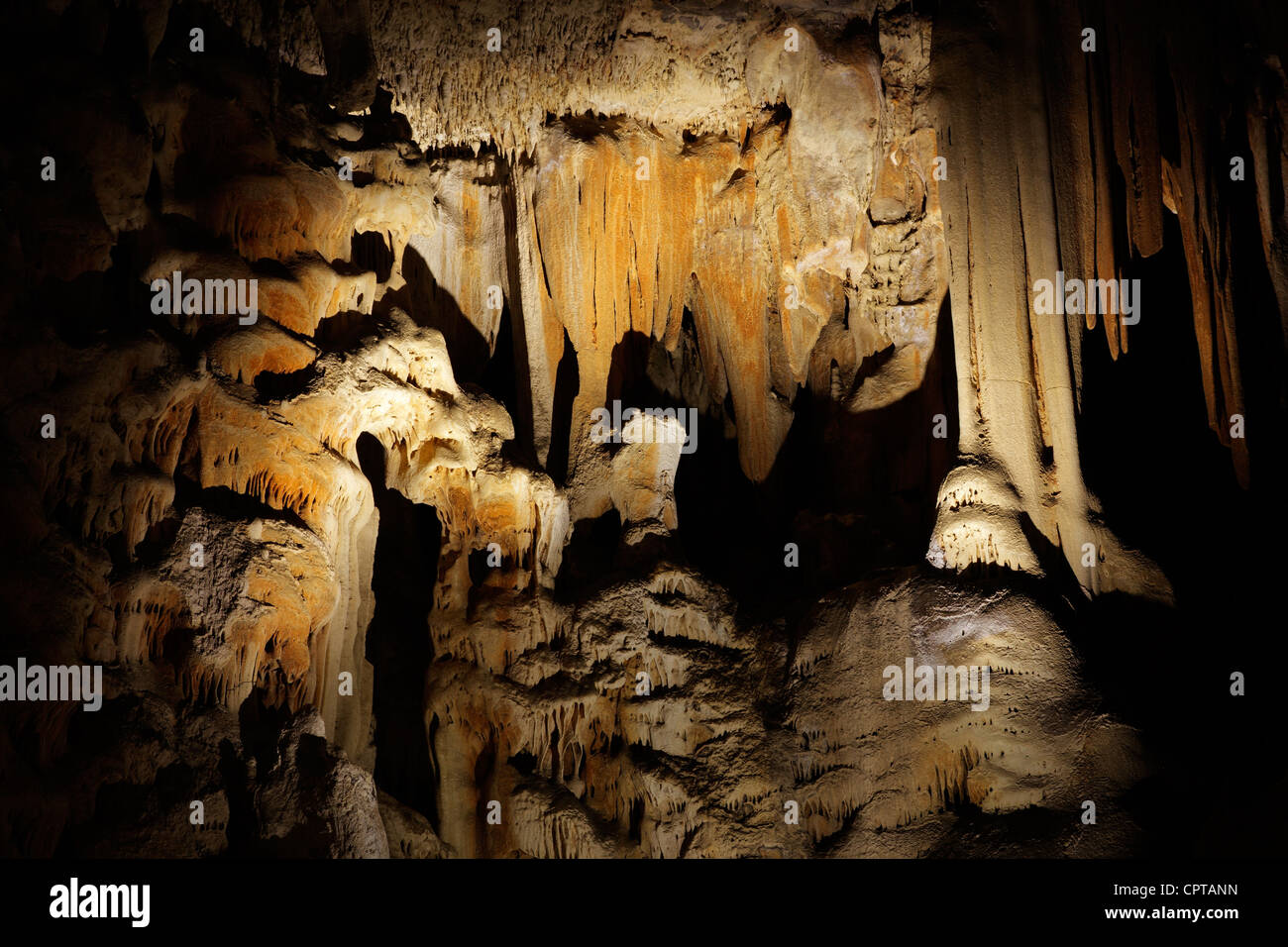 Limestone formations in the main chamber of the Cango caves, South ...