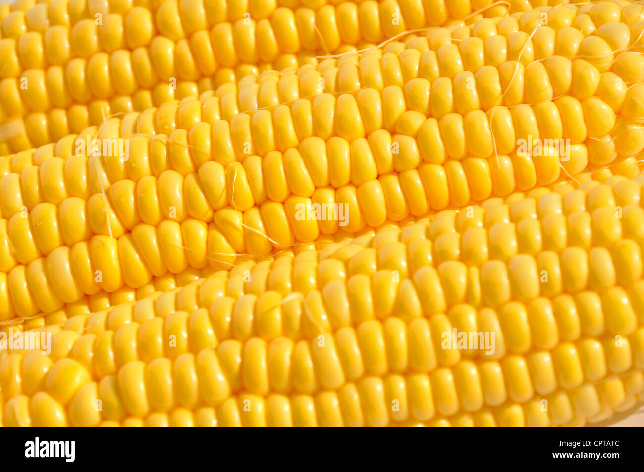 Corn kernels closeup Stock Photo - Alamy