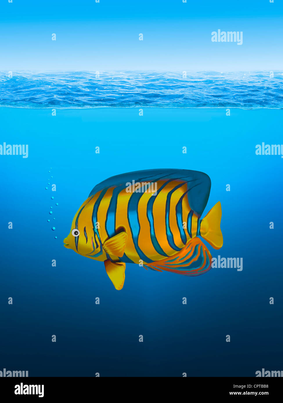 Funny cartoon angelfish looking a little worried Stock Photo - Alamy