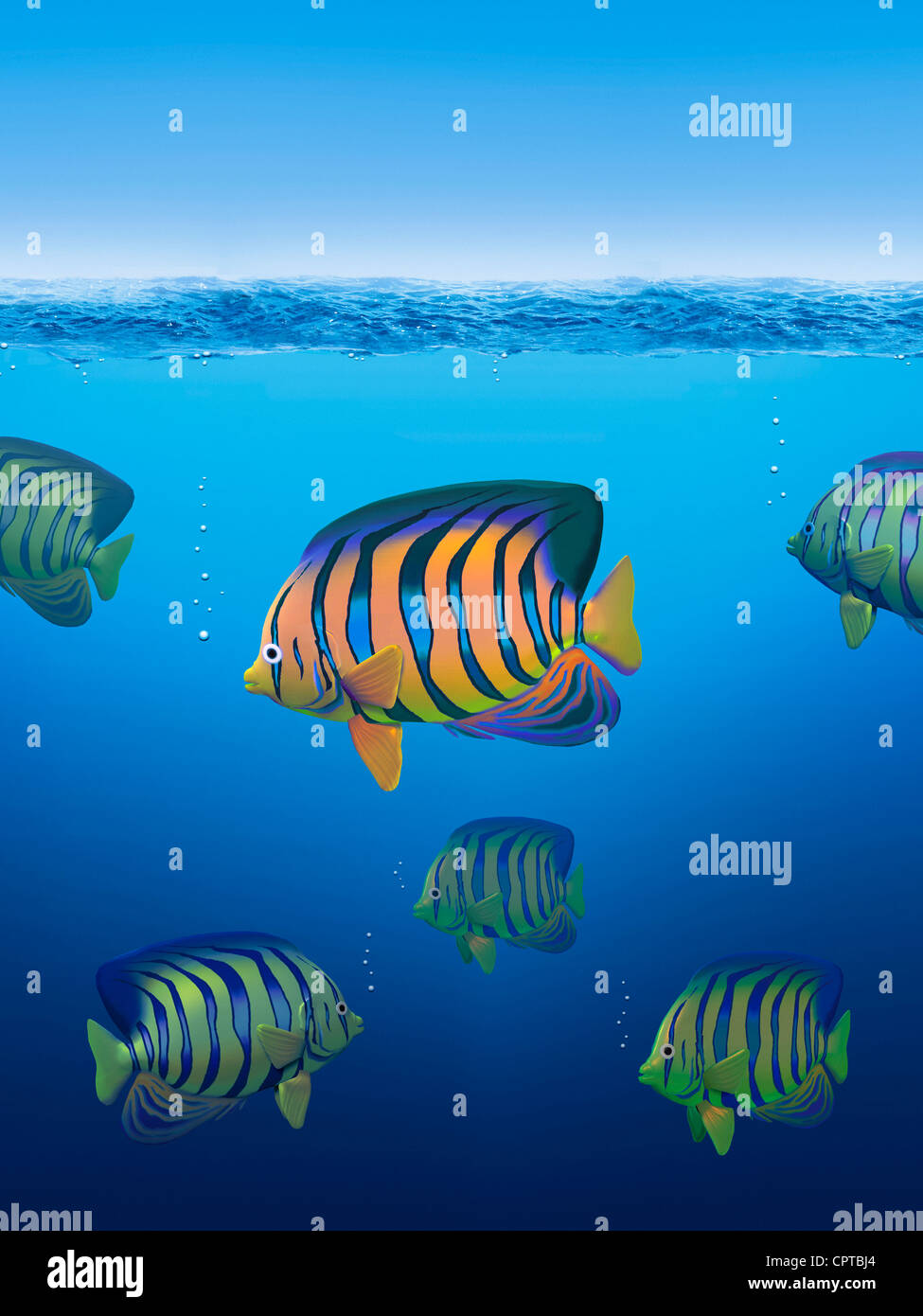 Colorful cartoon angelfish Stock Photo - Alamy