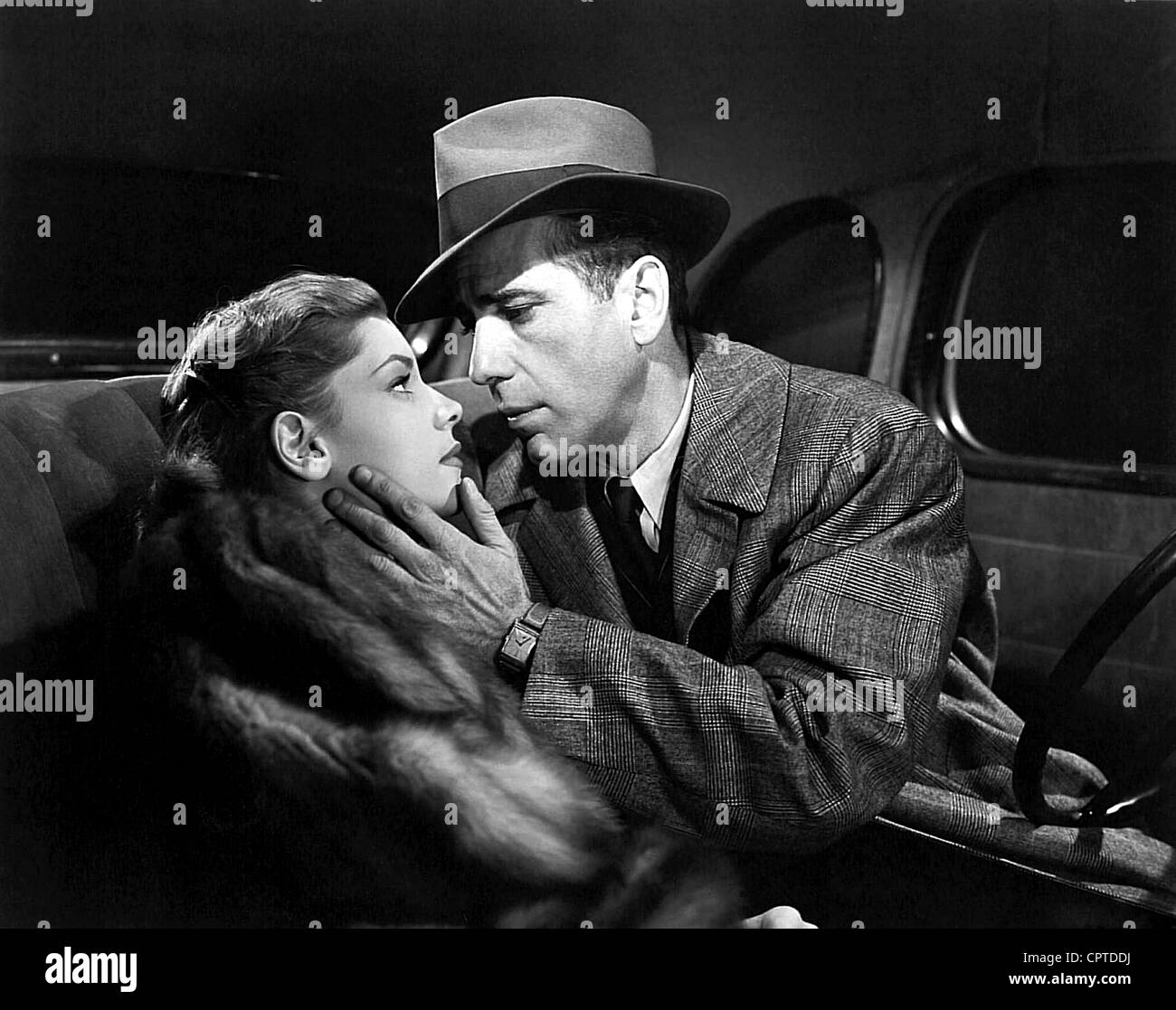The Big Sleep Stock Photo - Alamy