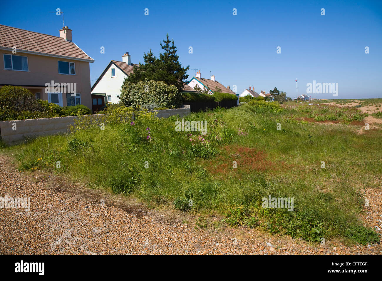 Vegetated shingle beach houses Shingle Street, Suffolk, England Stock ...