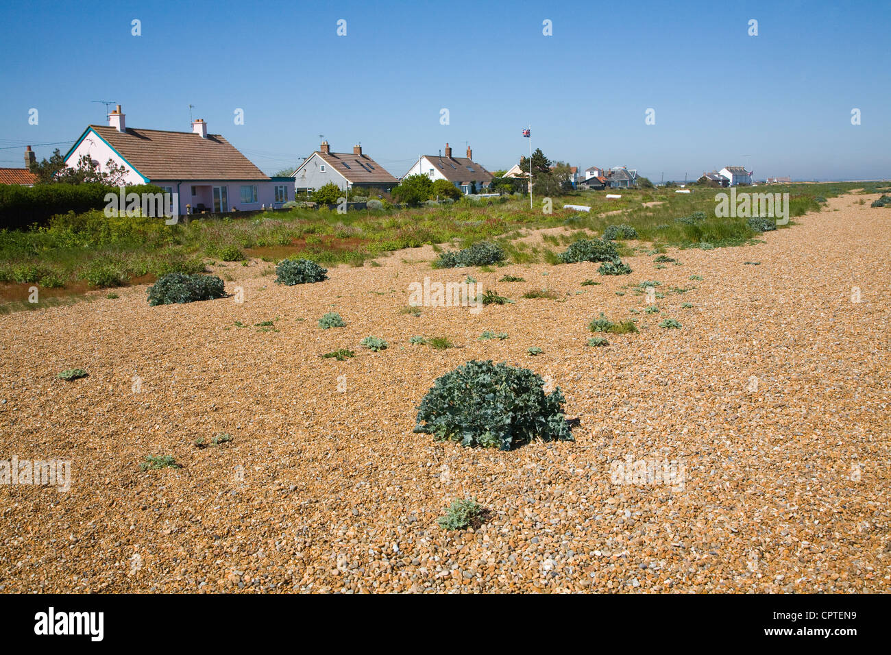 Vegetated shingle beach houses Shingle Street, Suffolk, England Stock ...