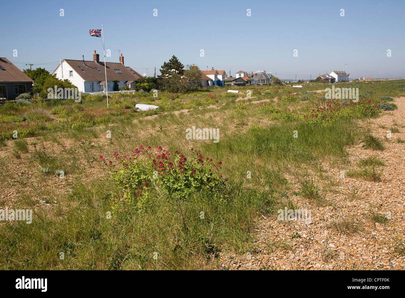 Vegetated shingle beach houses Shingle Street, Suffolk, England Stock ...