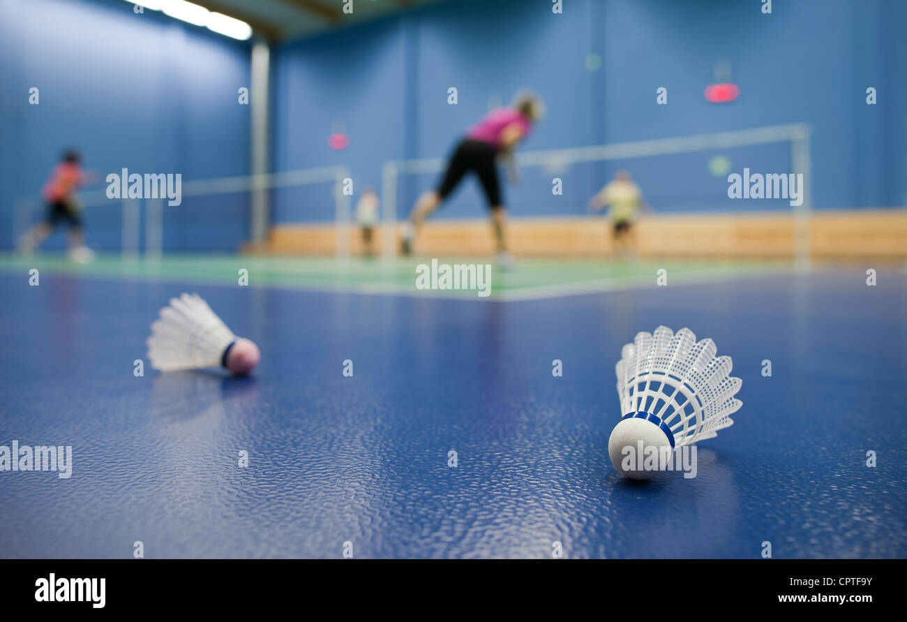 Badminton Court Melbourne at Piper Blanc blog