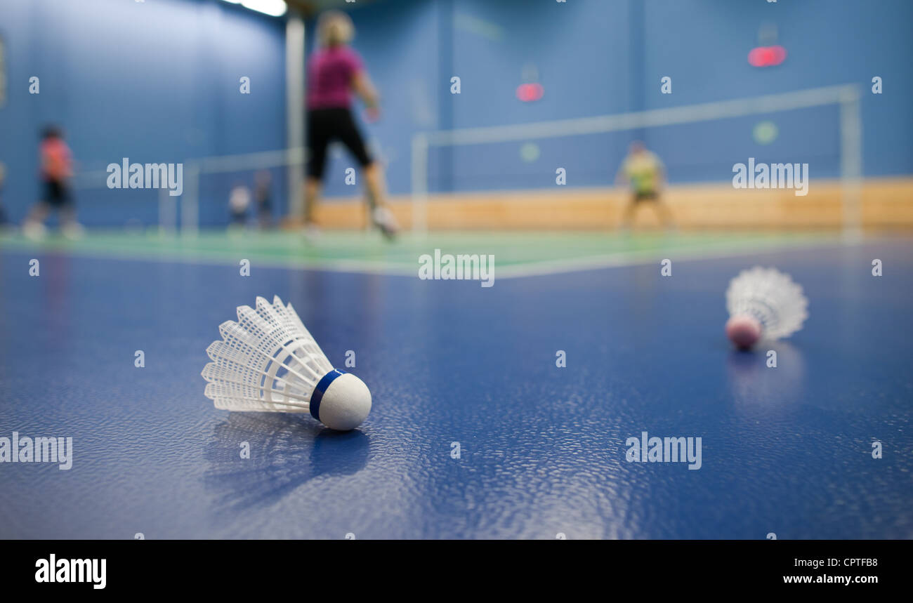 badminton - badminton courts with players competing; shuttlecocks in ...