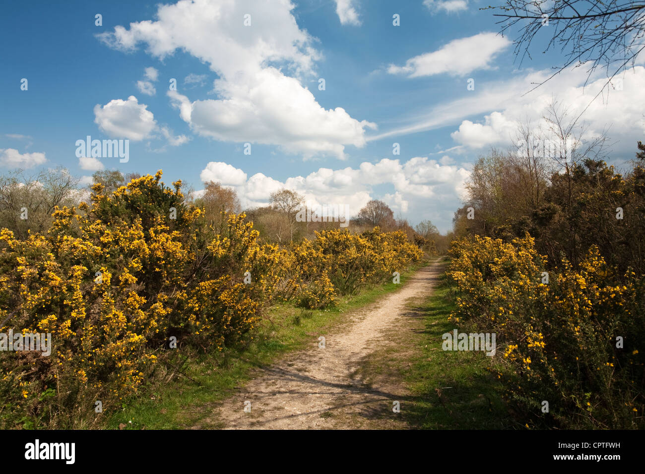 Greenham common nature reserve hi-res stock photography and images - Alamy