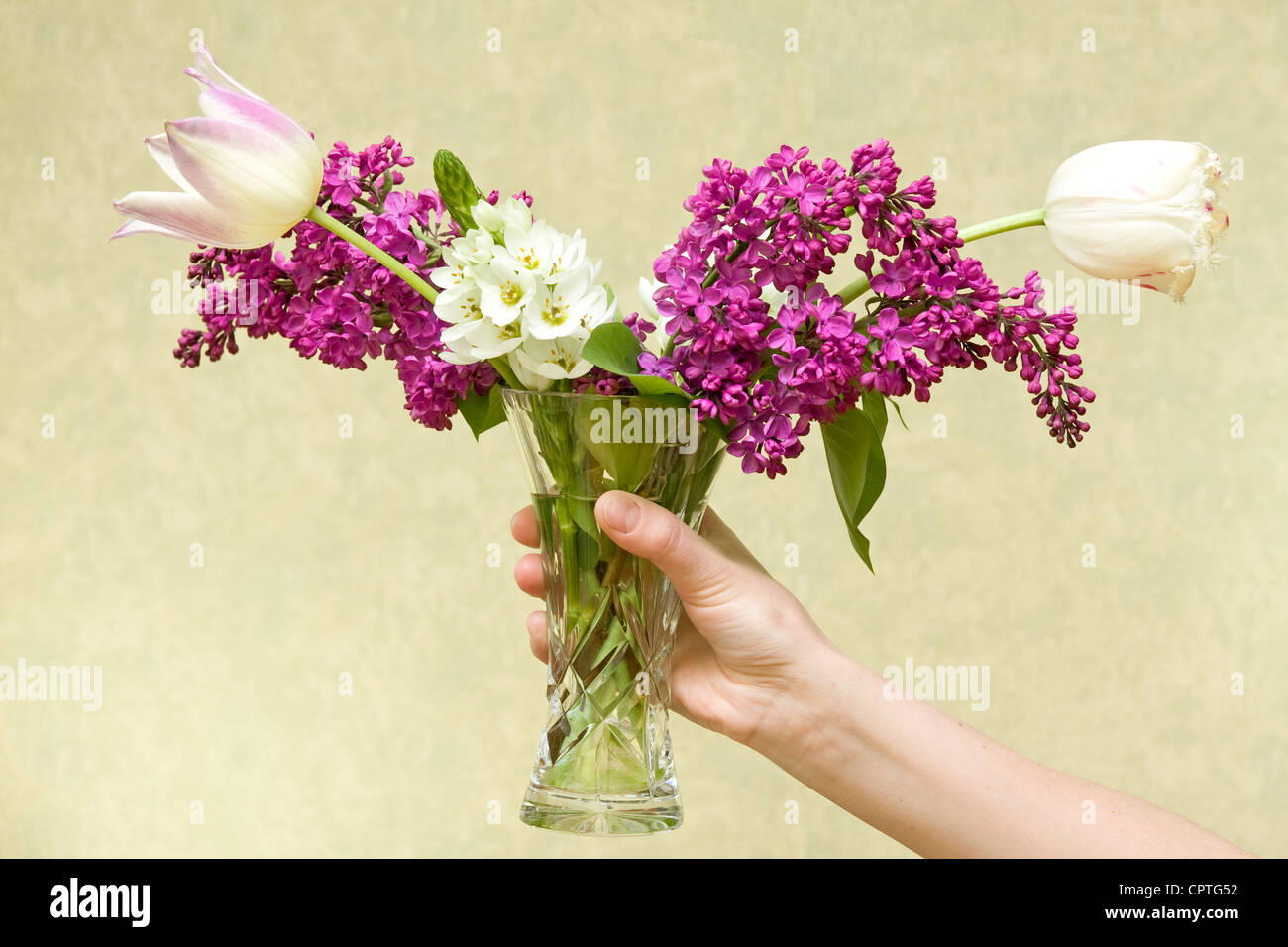 Female hand holding vase with various flowers Stock Photo - Alamy