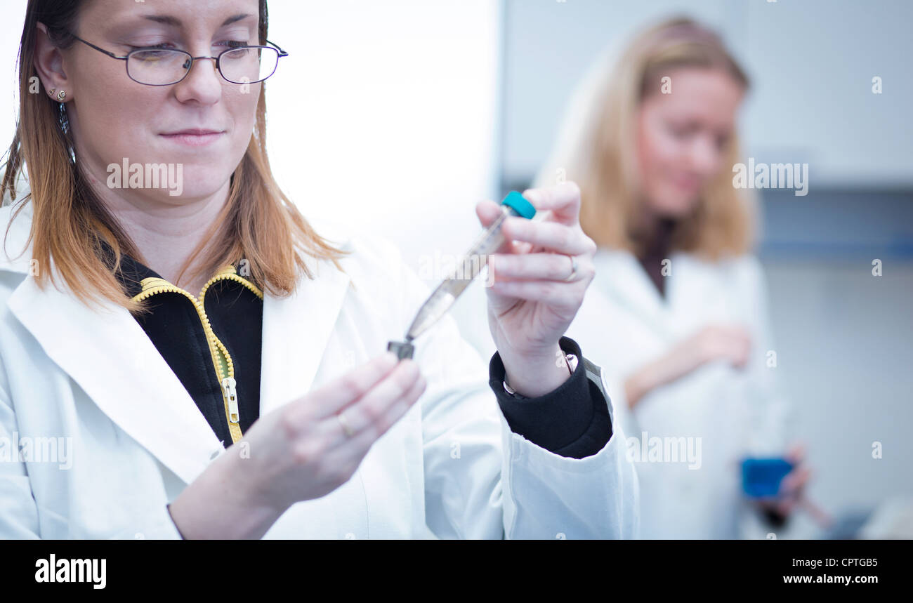 Two female researchers carrying out research in a chemistry ...